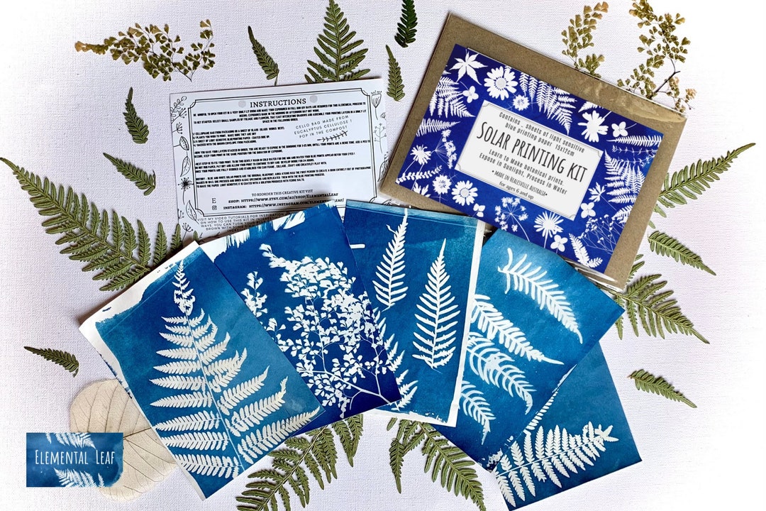 Cyanotype Solar Printing Kit: Nature Art, DIY Craft - Etsy