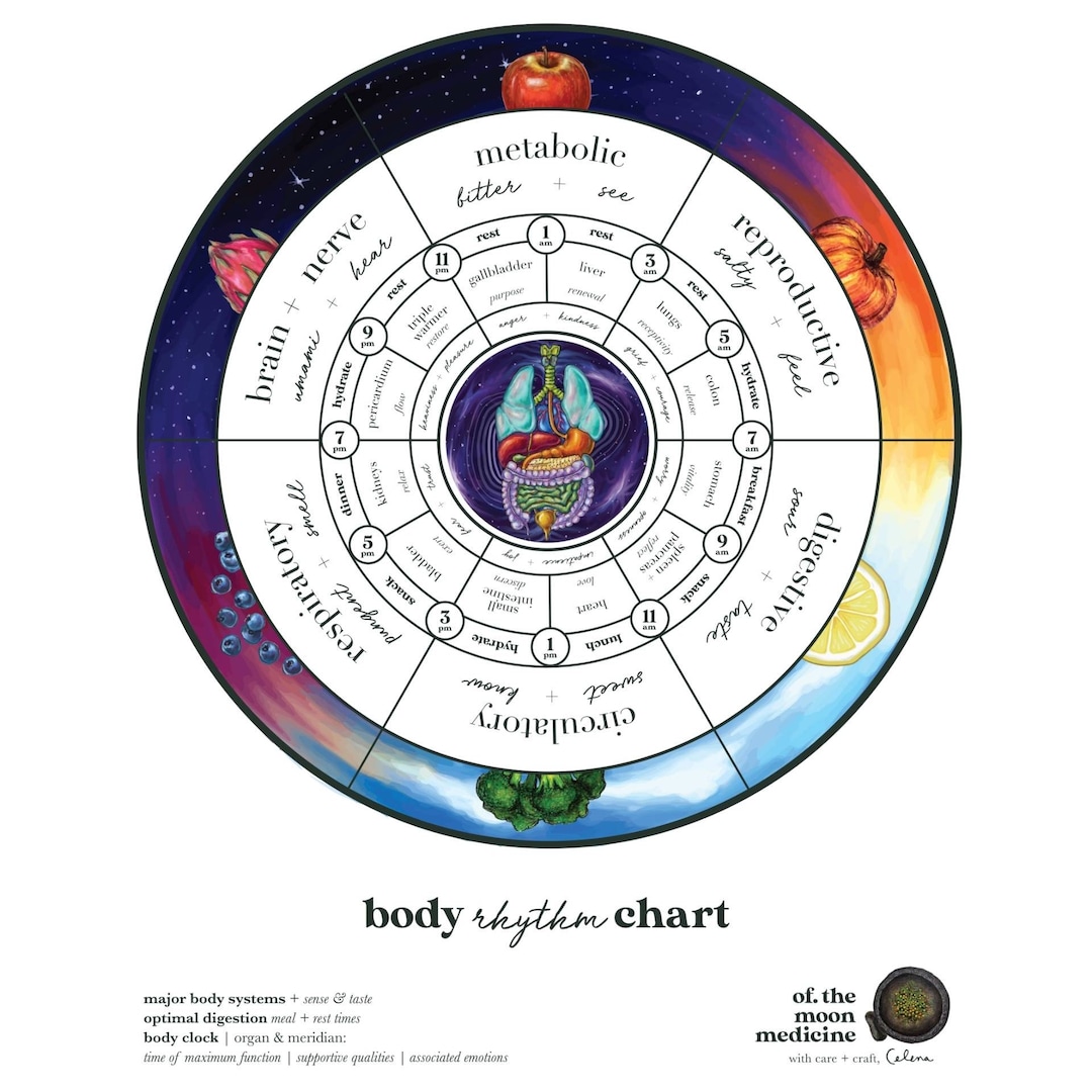 Body Rhythm Poster - Etsy