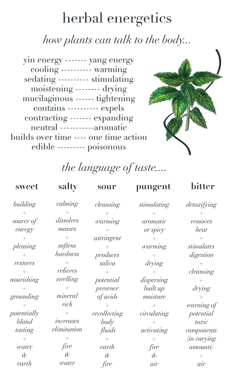 Simple Folk Herbal Guide Booklet Digital - Etsy