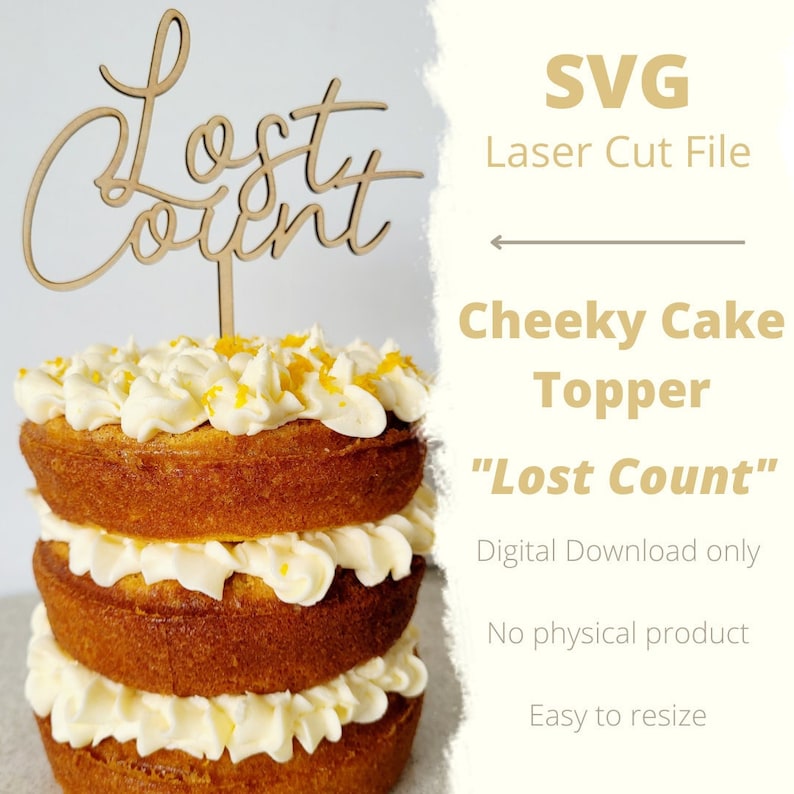Cheeky Cake Topper SVG, Laser Cut File, Lost Count, Old Age, Cheeky ...