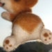 Cute Corgi Rear View Mirror Charm / Corgi Butt Plush Hanging Car ...