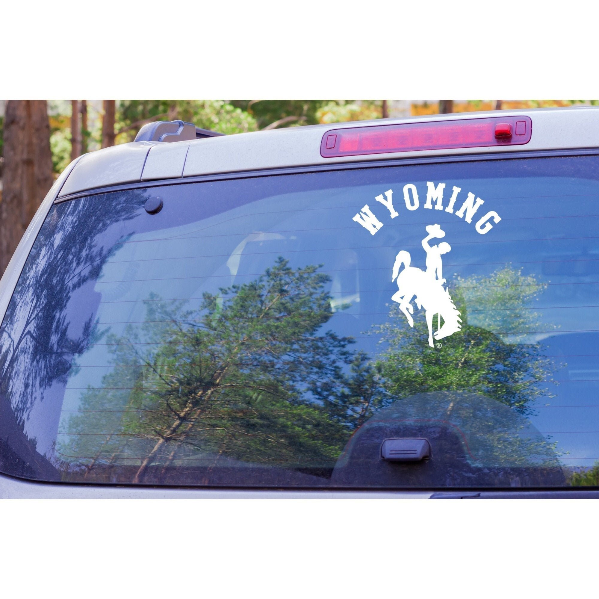 Curved Wyoming Bucking Cowboy Decal Wyoming Cowboys Decal | Etsy