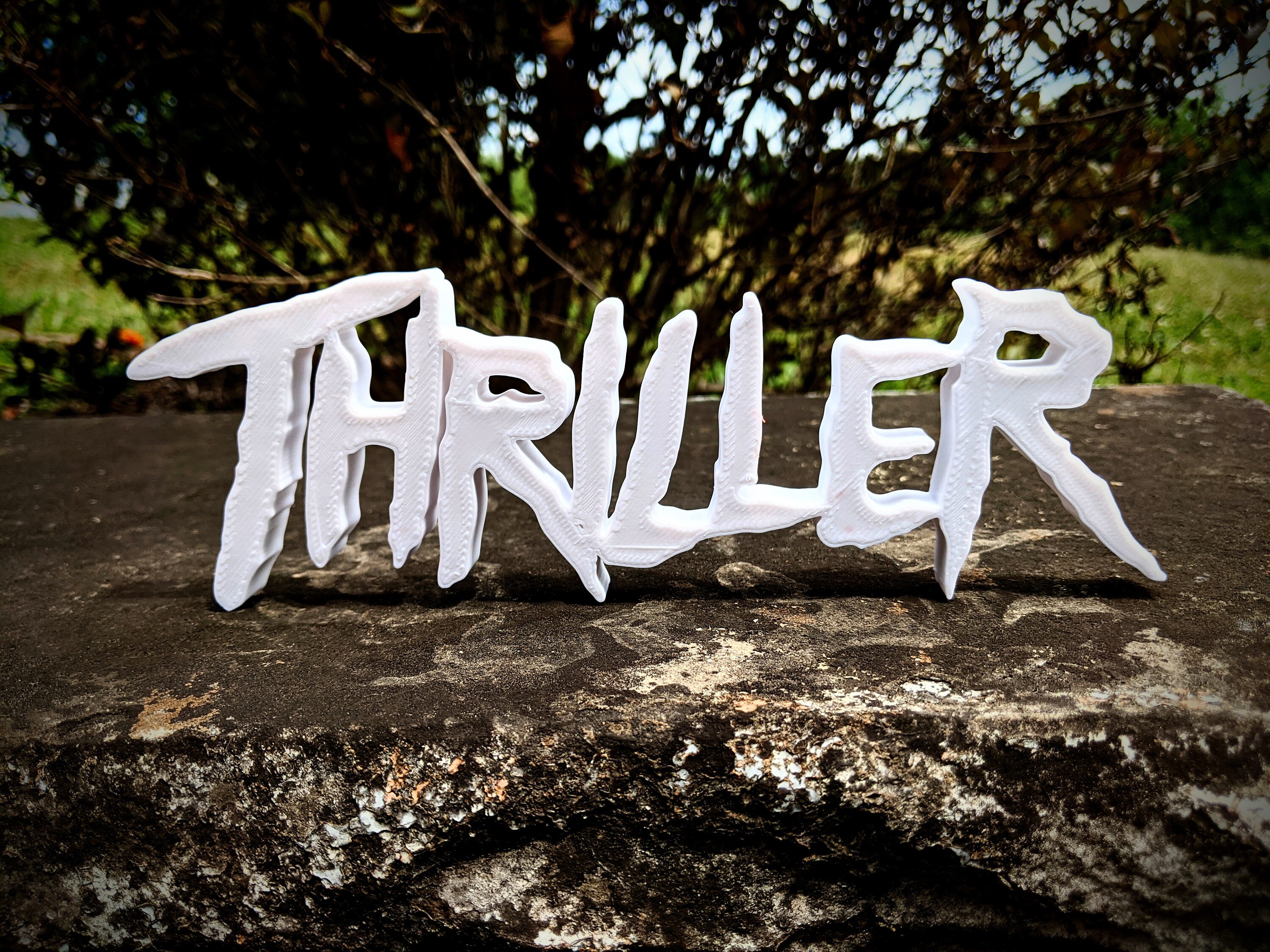 Thriller Movie Genre Shelf Display – Cult Horror Typography - Etsy