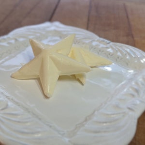 Star Butter Mold - Butter Mold - Table Decor - Food Mold - Mini Turkey ...