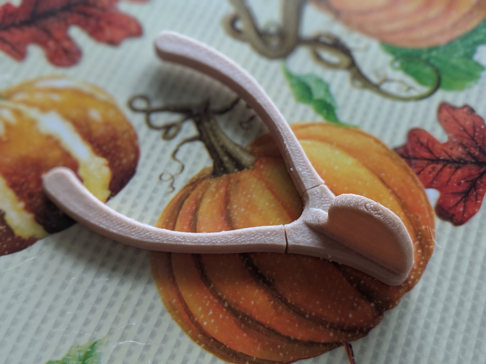 Thanksgiving Day Wishbone Set of 6 Fake Wishbone Vegan - Etsy