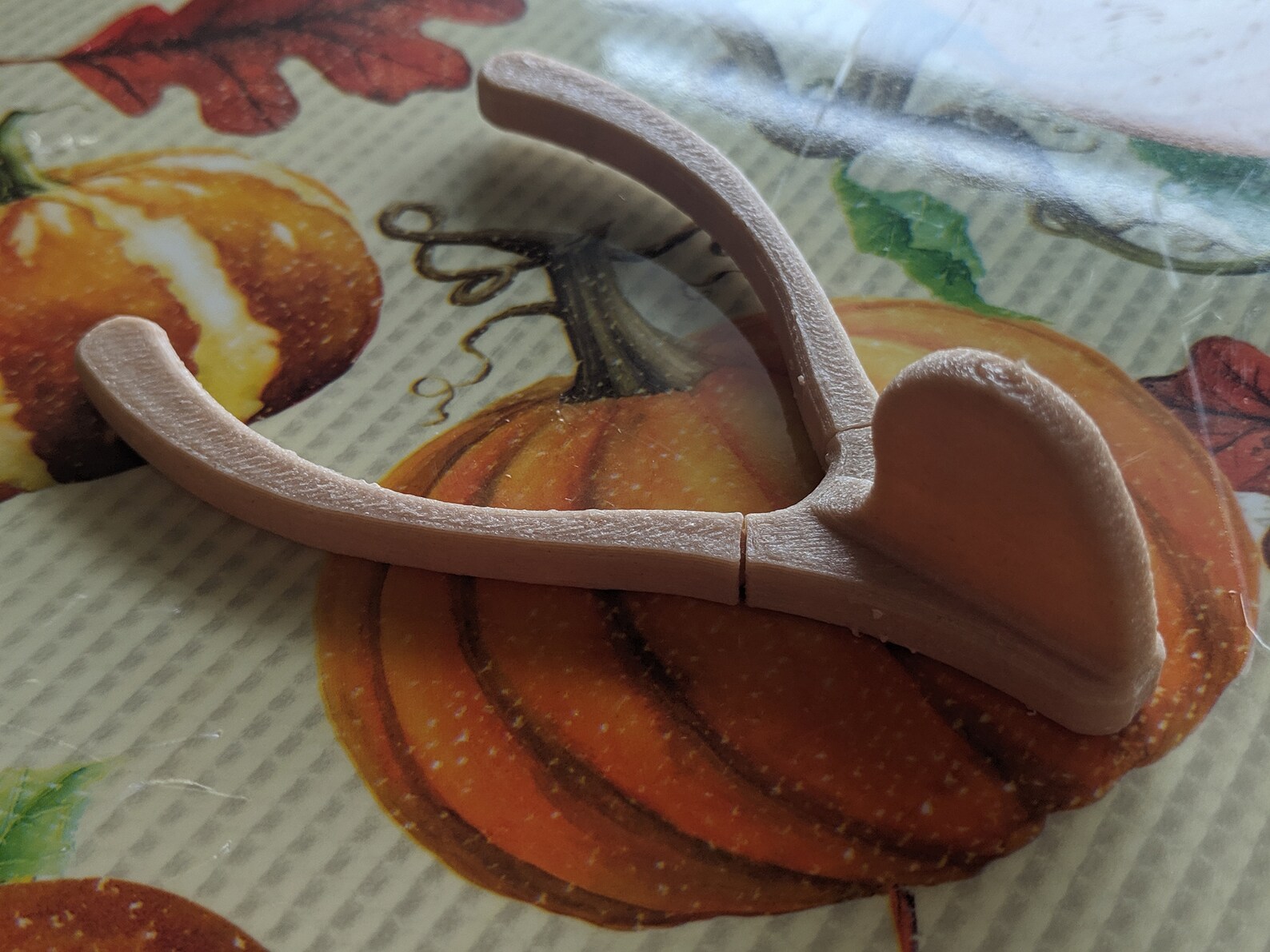 Thanksgiving Day Wishbone Set of 6 Fake Wishbone Vegan - Etsy