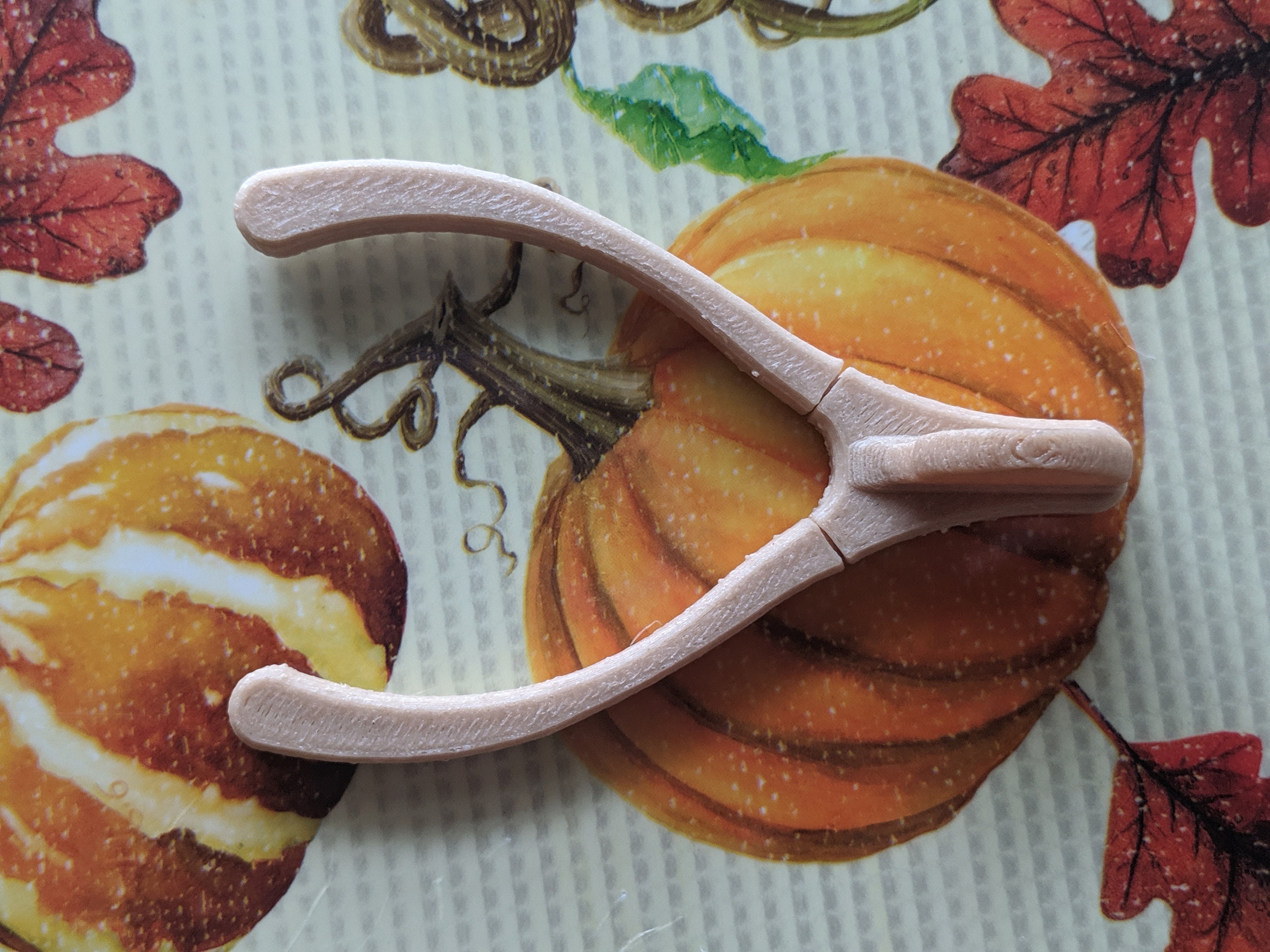 Thanksgiving Day Wishbone Set of 6 Fake Wishbone Vegan - Etsy