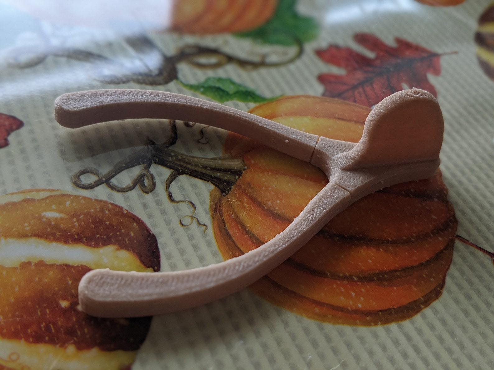 Thanksgiving Day Wishbone Set of 6 Fake Wishbone Vegan - Etsy