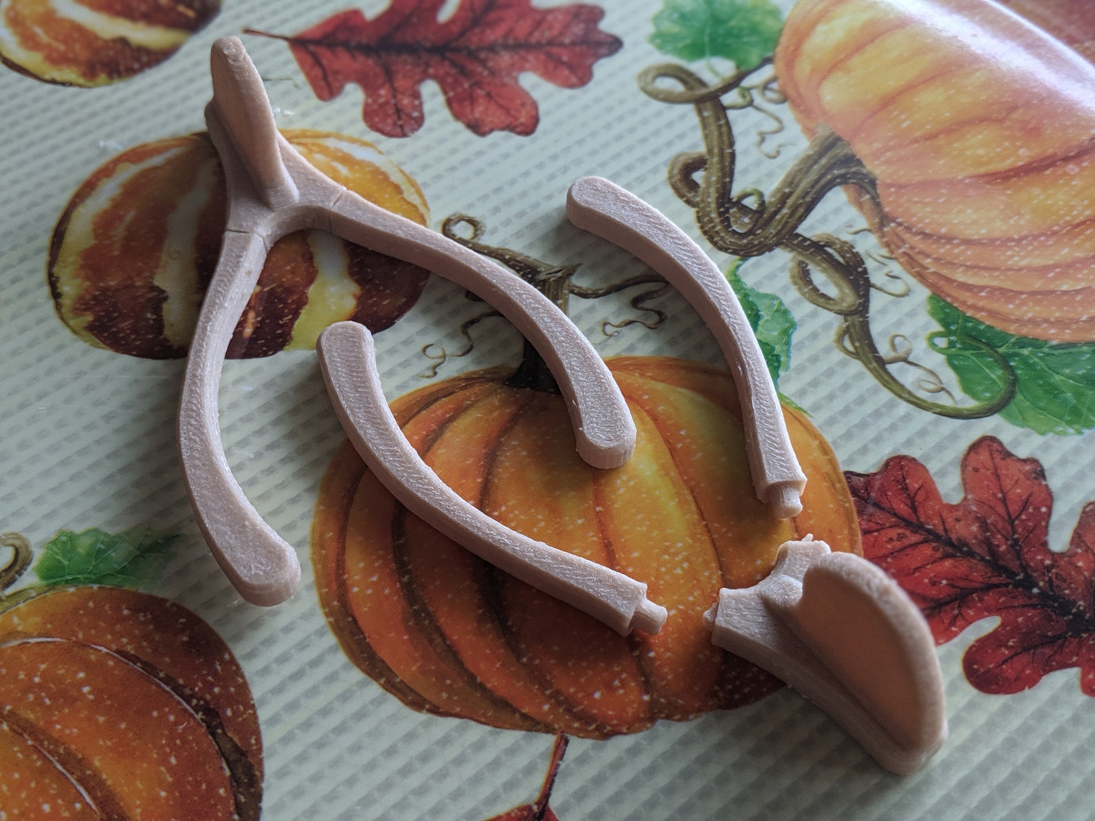 Thanksgiving Day Wishbone Set of 6 Fake Wishbone Vegan - Etsy