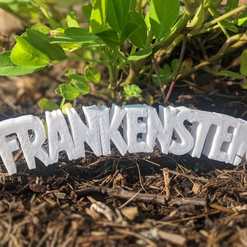 Frankenstein - Etsy
