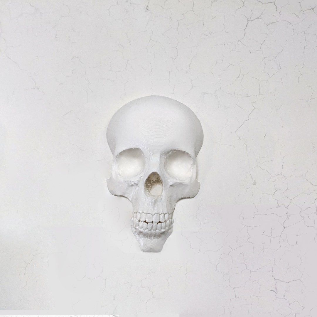 Wall Skull | Halloween Decoration | Skull Art | Skull Decoration ...