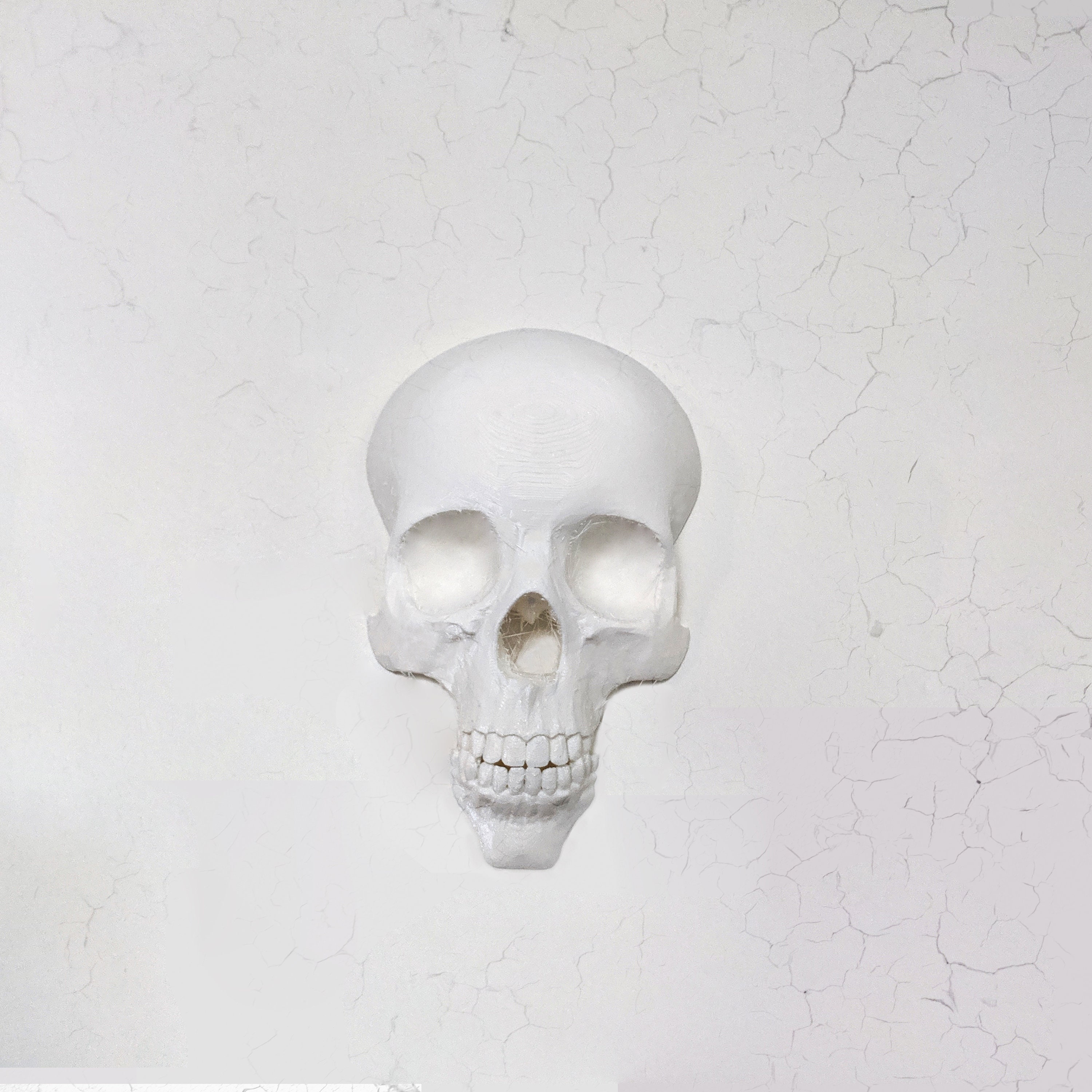 Wall Skull Halloween Decoration Skull Art Skull - Etsy