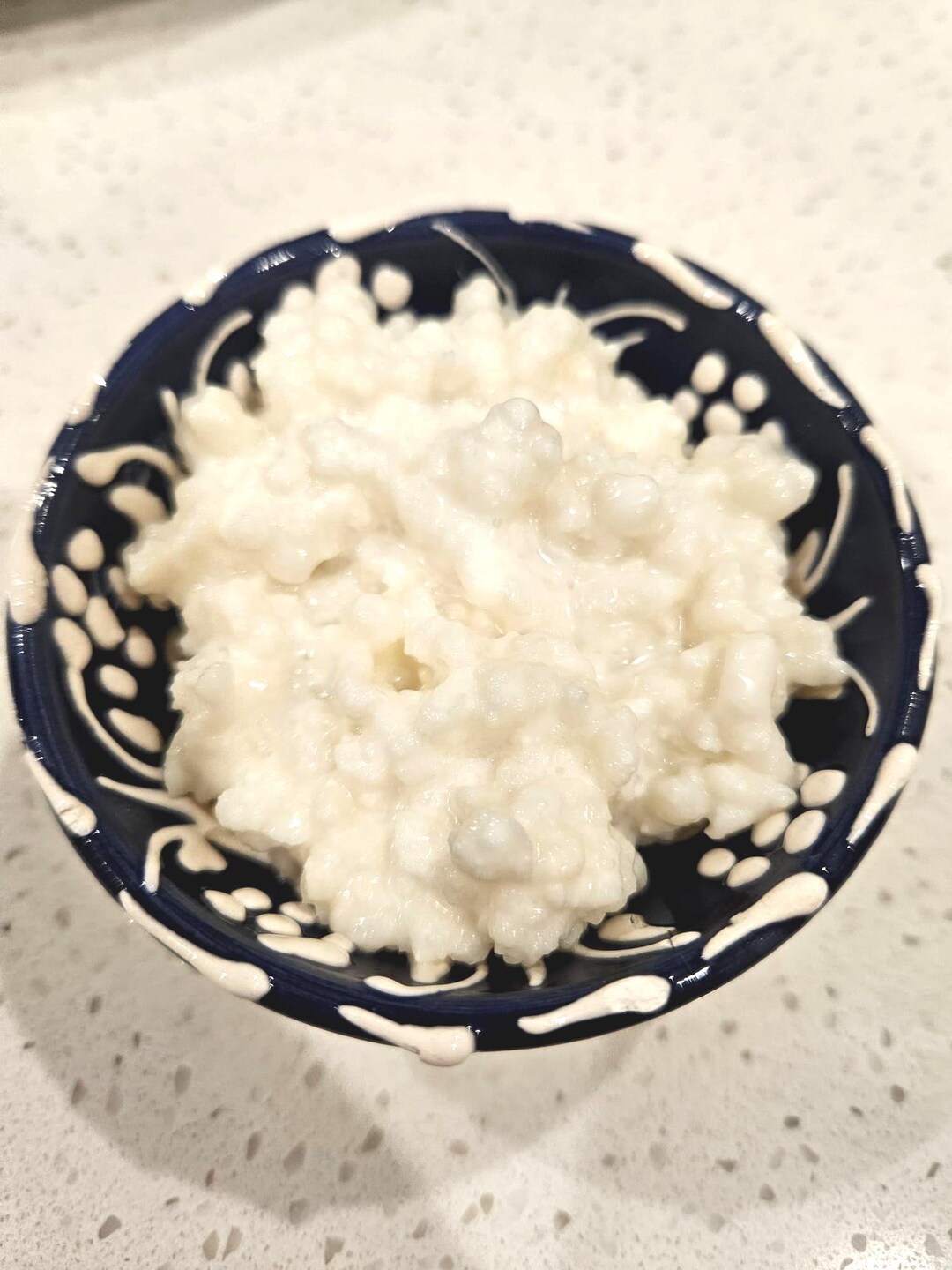 Raw Milk Kefir Grains: Cultured in Goat & Sheep's Milk - Etsy