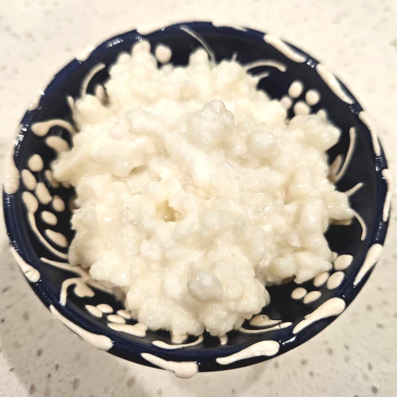 Are Sheep Goats - Etsy