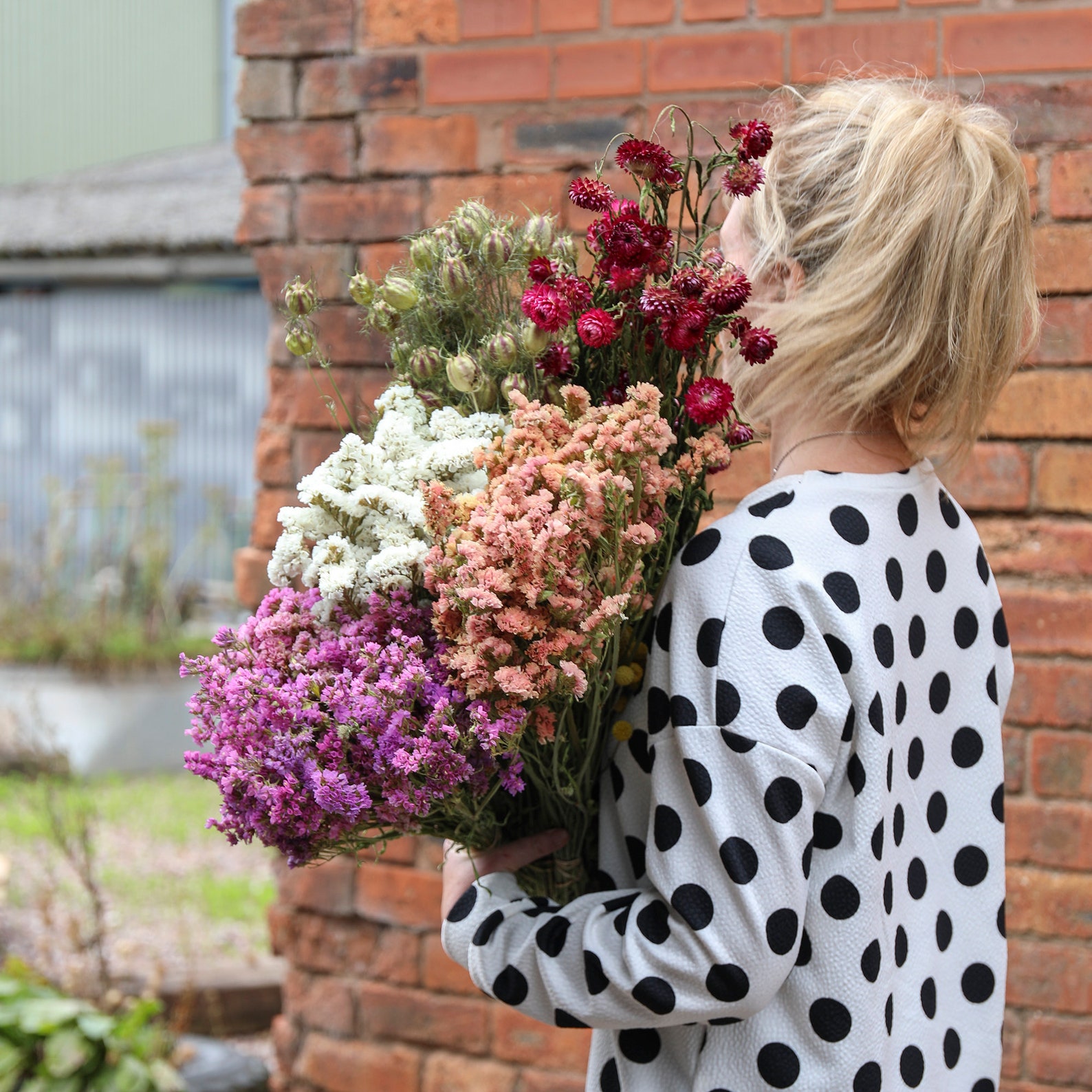 White Statice Dried Flower Bunch | White Sea Lavender Bouquet | Dried ...