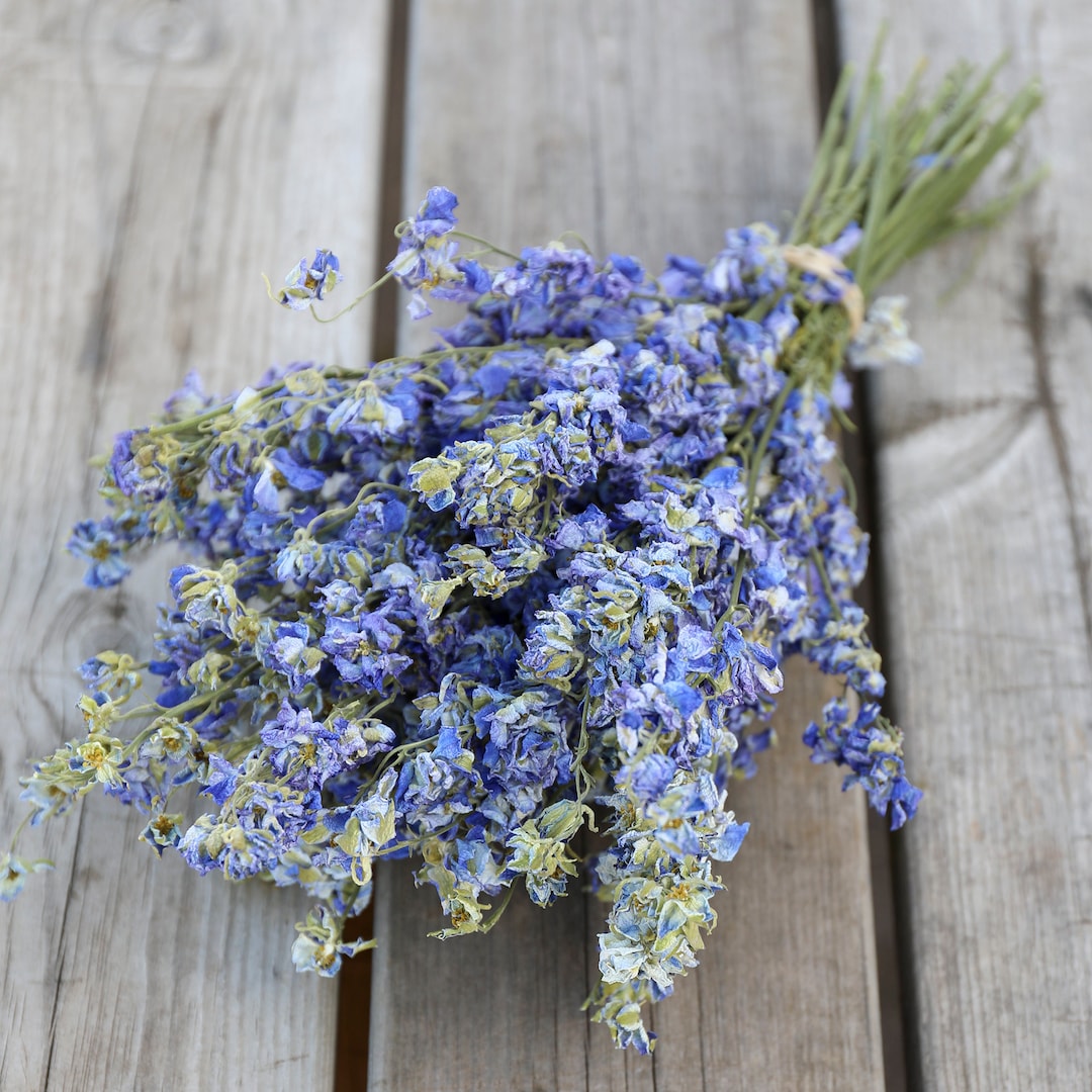 Light Blue Dried Flower Bunch | Dried Flowers, Floral Arrangements ...
