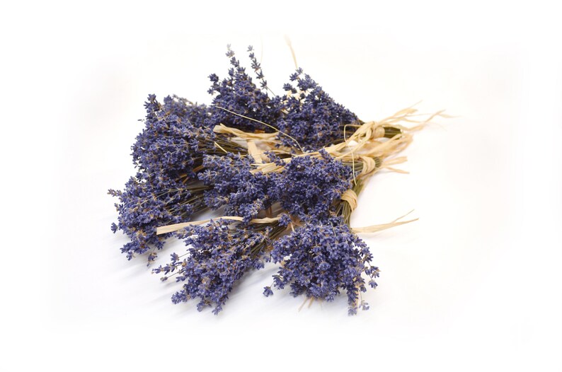 Dried Mini Lavender Bundle Lavender Dried Lavender - Etsy UK