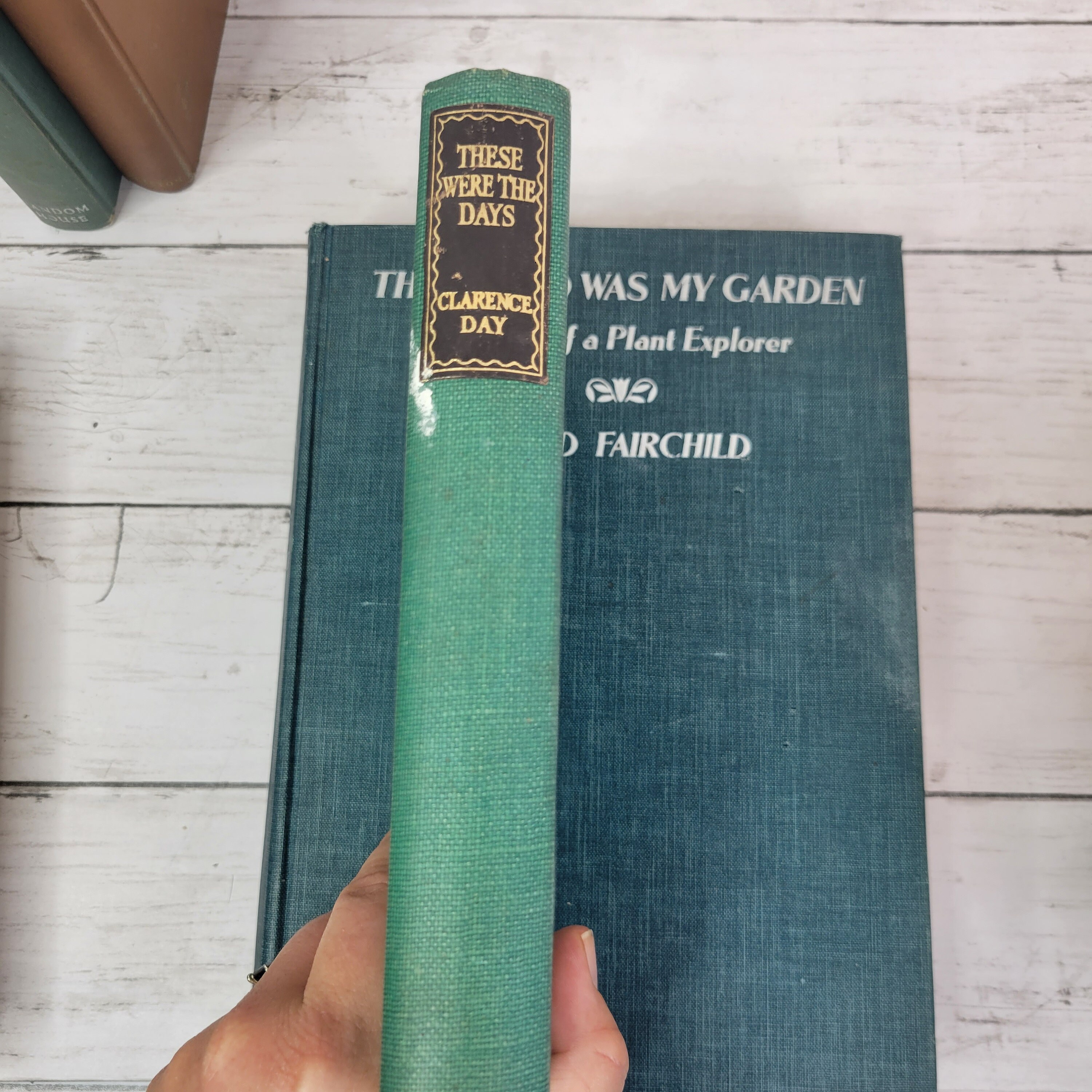 Vintage Books for Decorating Literature Bookstack, Rustic Decor, Blue ...