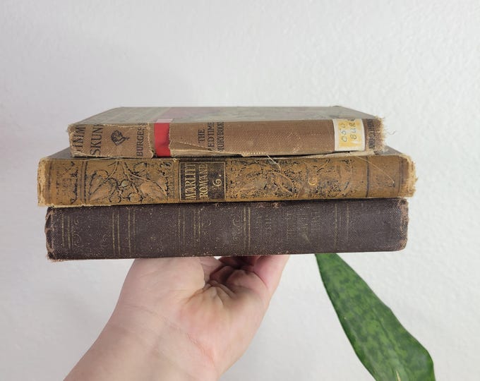 Vintage Books for Decorating, Rustic Distressed Books, Brown Bookstack ...