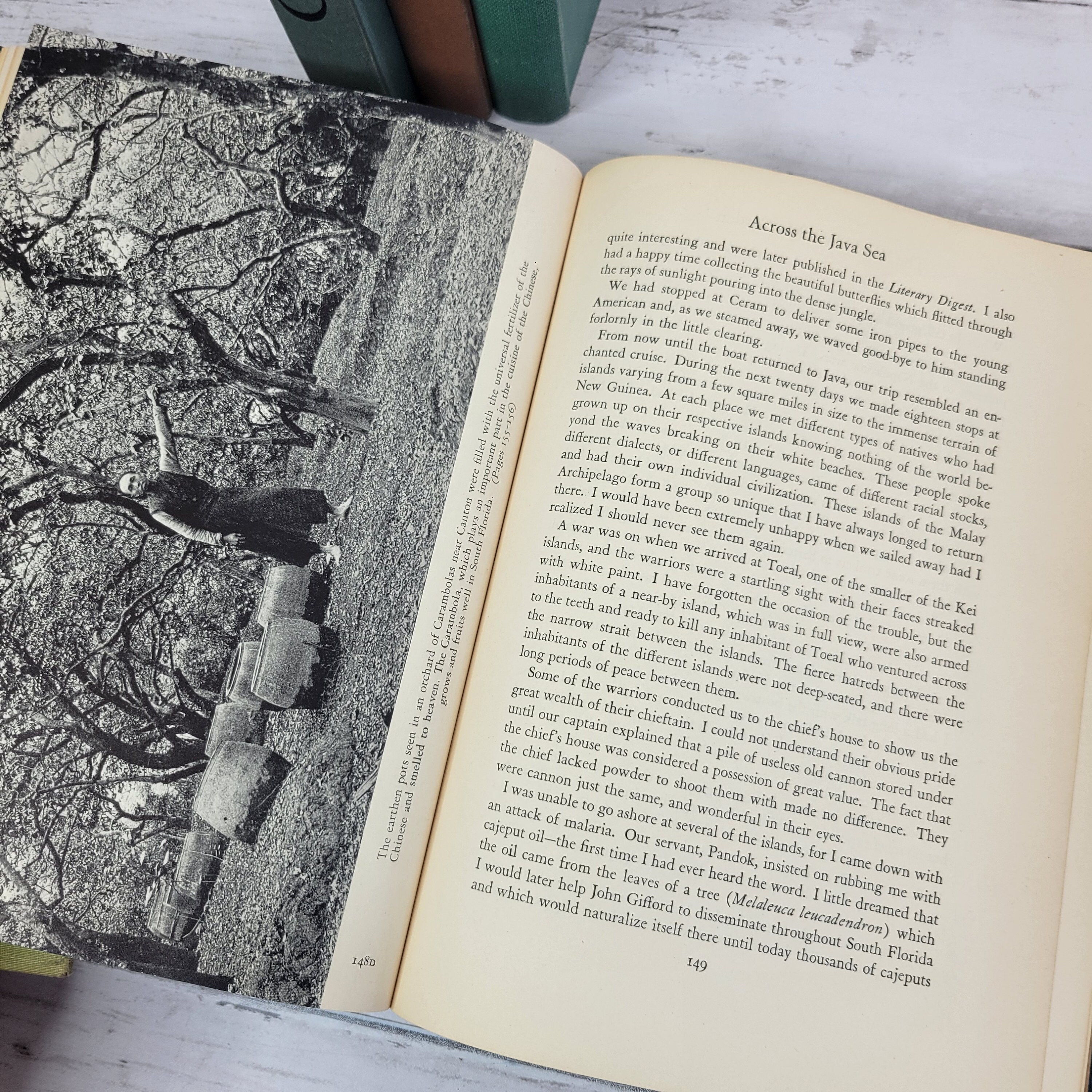 Vintage Books for Decorating Literature Bookstack, Rustic Decor, Blue ...