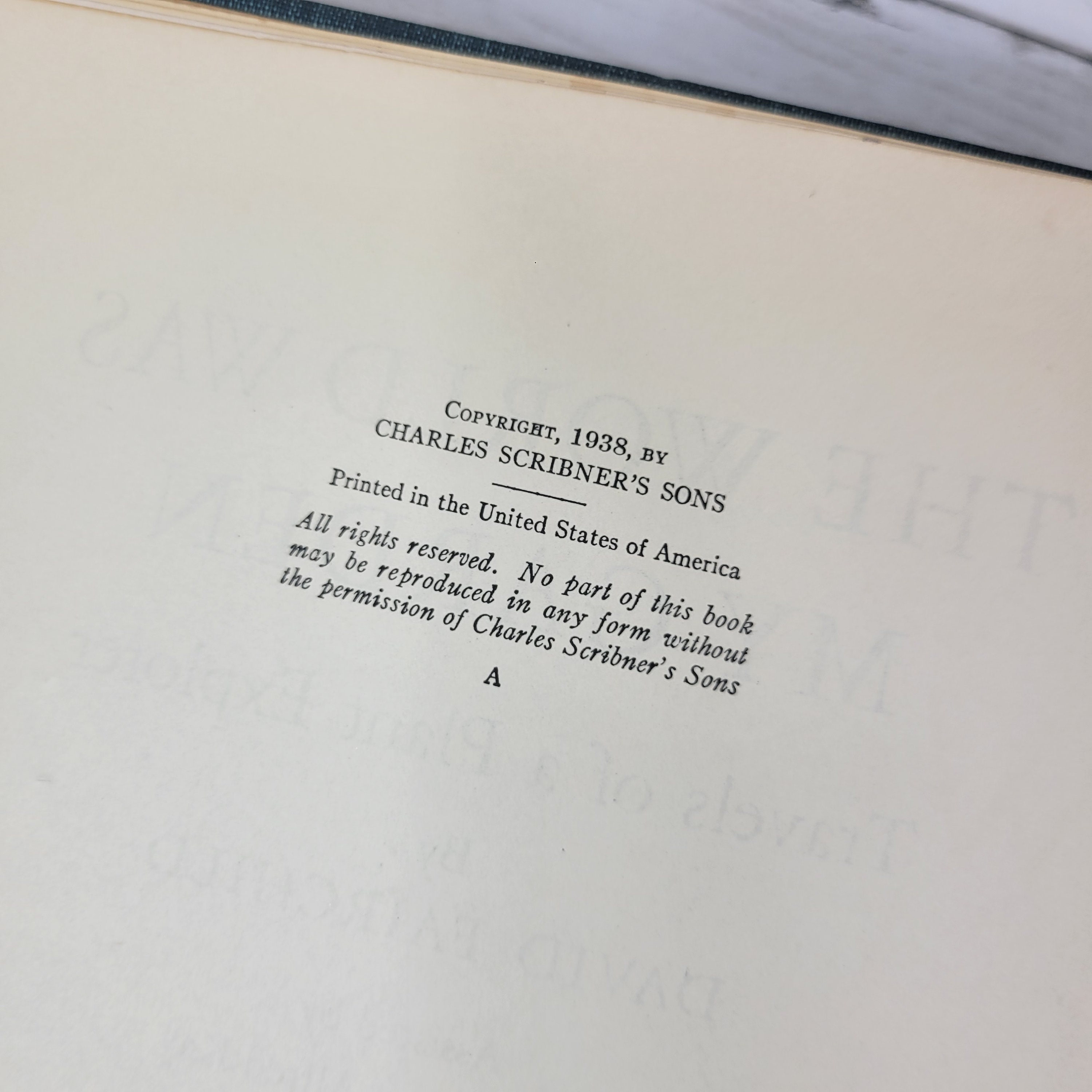 Vintage Books for Decorating Literature Bookstack, Rustic Decor, Blue ...