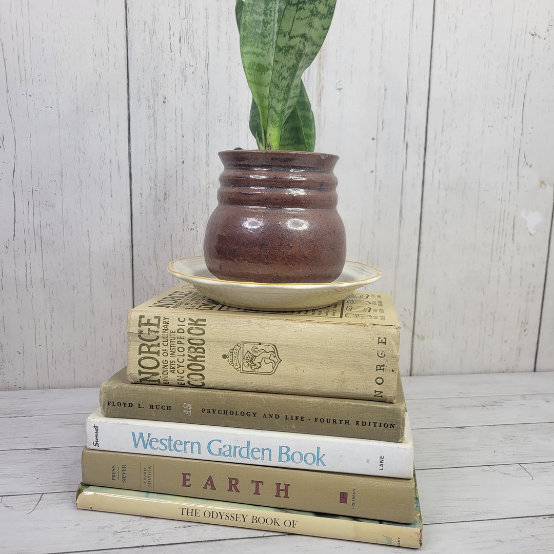 Vintage Decorative Bookstack, Books for Rustic Decor, Beige Large Antique Books for Decorating ...