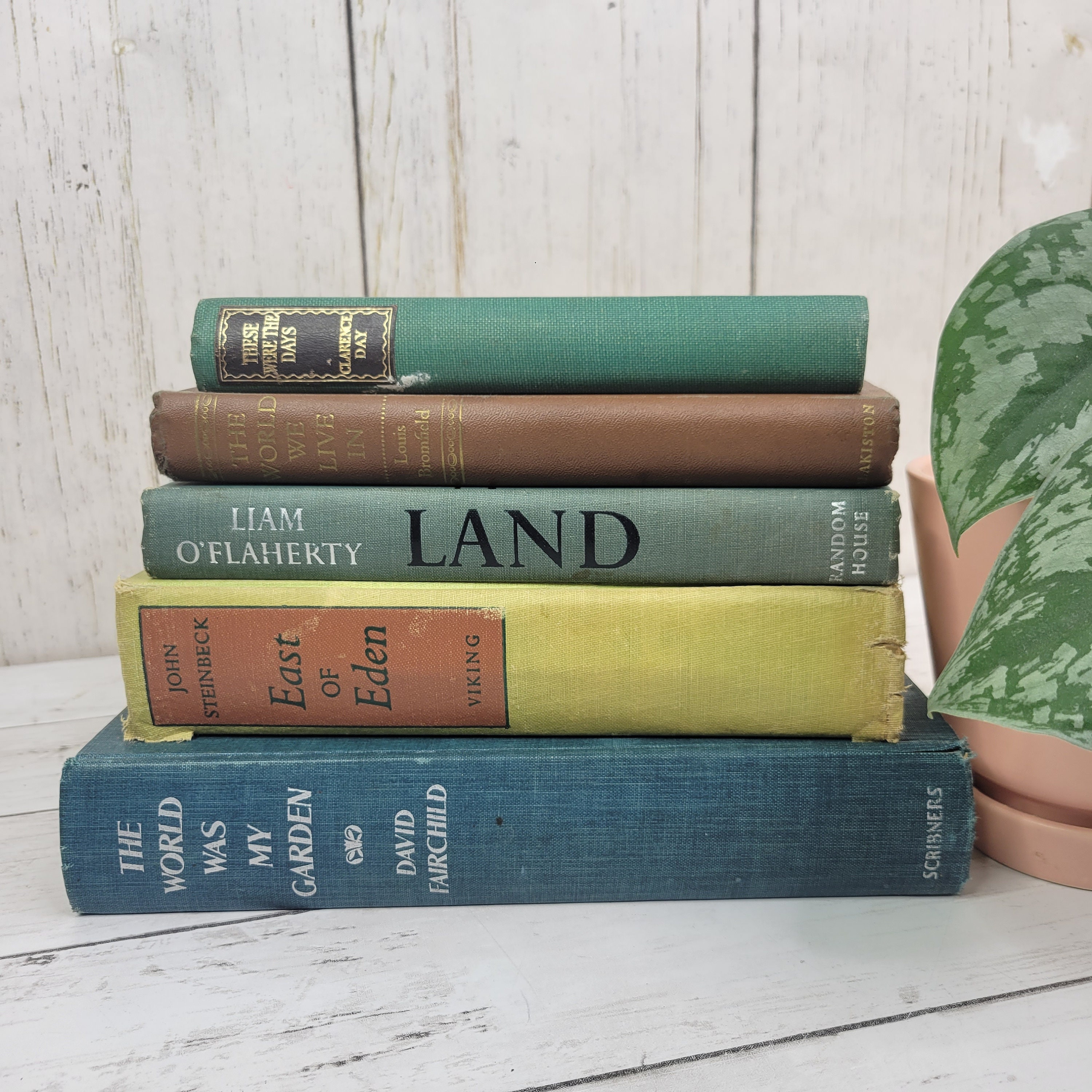 Vintage Books for Decorating Literature Bookstack, Rustic Decor, Blue ...
