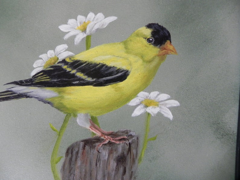 Yellow Finch Painting in Acrylic Original 8 X 10 Framed Male - Etsy