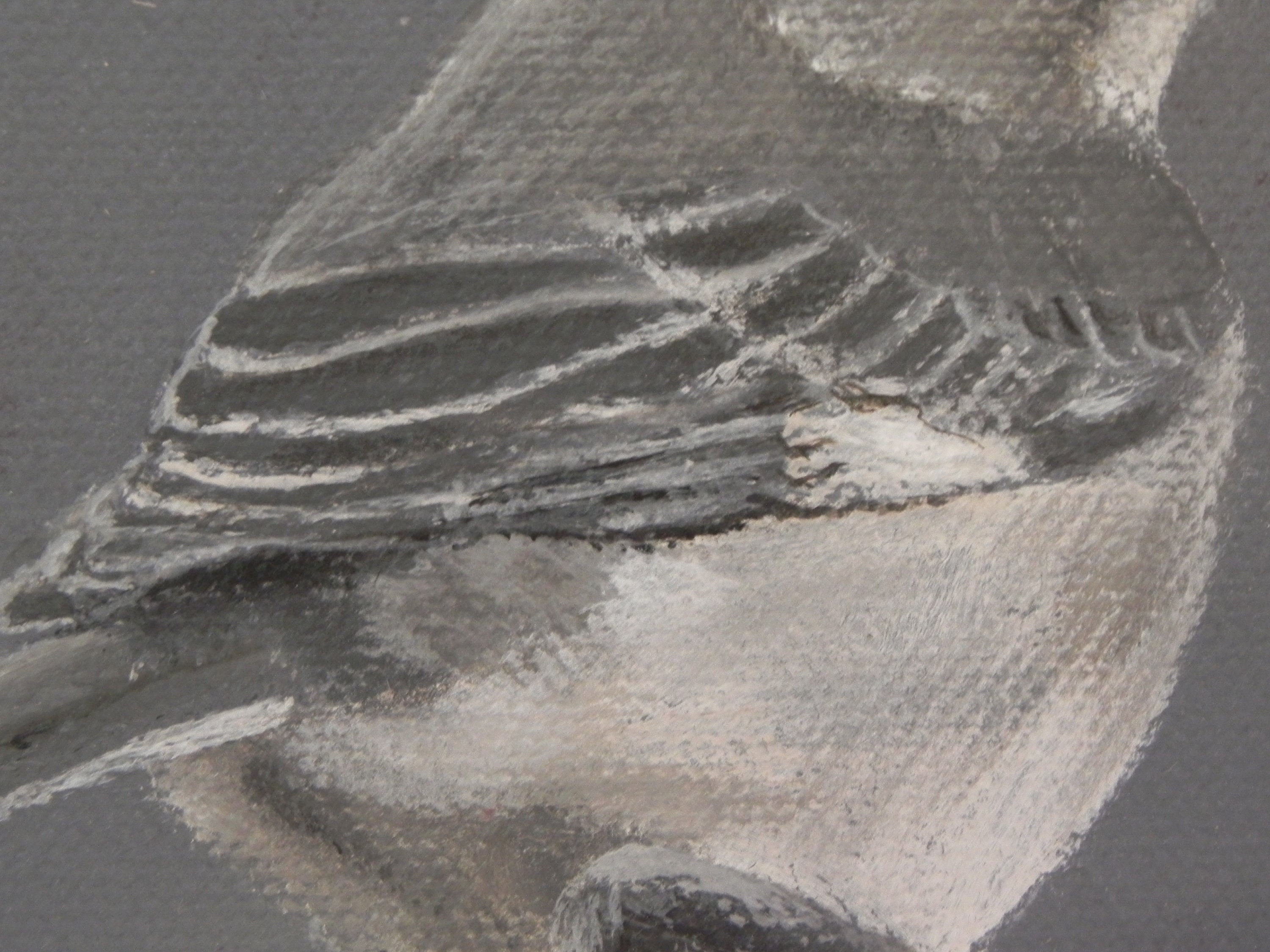 Buy Mockingbird Small Painting Original Acrylic 5x5 Inch State Online ...