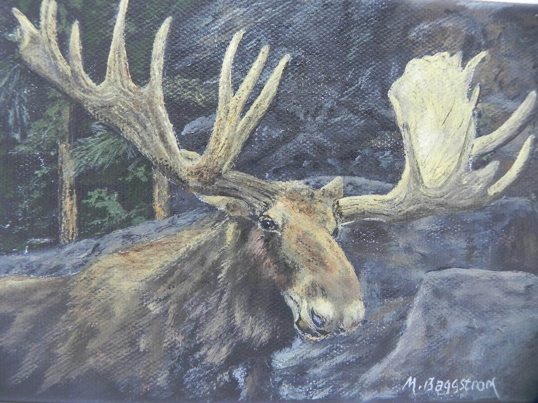 Moose Painting, Original Small Moose Painting in Acrylic, 5x7 Inch ...