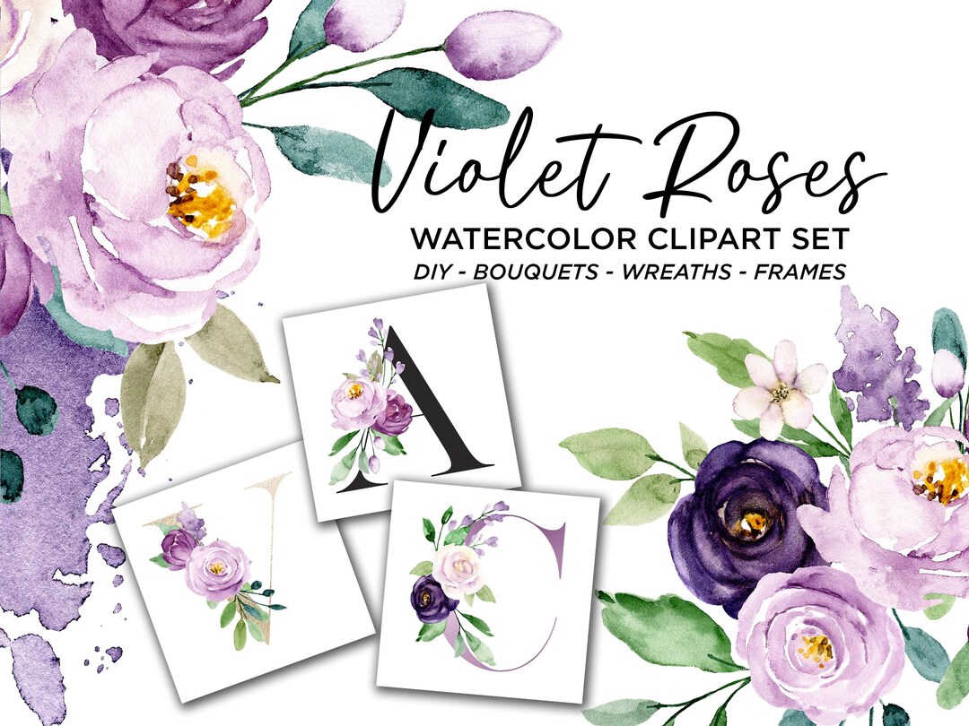 Watercolor Violet Roses Flowers Set - Floral Borders - Bouquet Flowers ...
