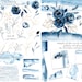 Watercolor Navy Blue Flowers Set - Navy Blue Roses, Floral Garden ...