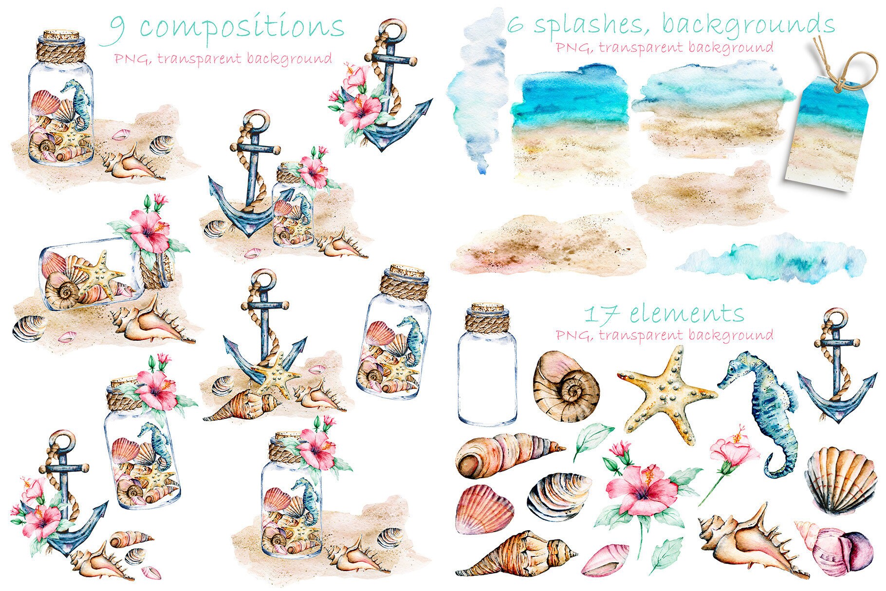 Watercolor Seashells Clipart Set Seashells Clipart Bundle Watercolor ...