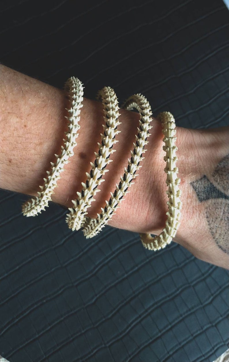 Unpolished Real Snake Bones Bracelet-vertebras | Etsy