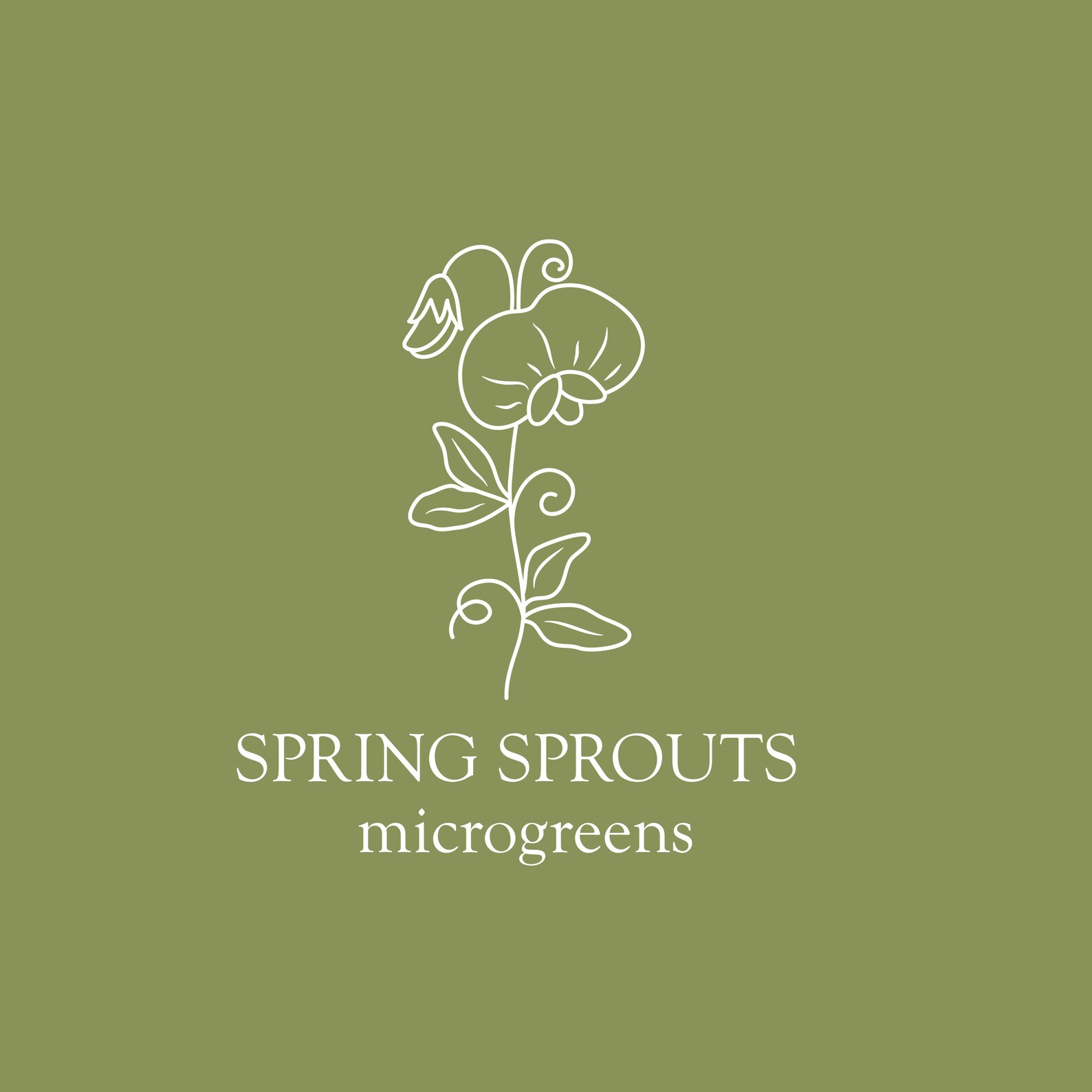Sweet Pea Logo Design/birth Month Flower Premade Logo/microgreens Logo ...