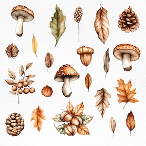 Cozy Fall Clipart Bundle, Watercolor Autumn Clipart, Warm Autumn Clip ...