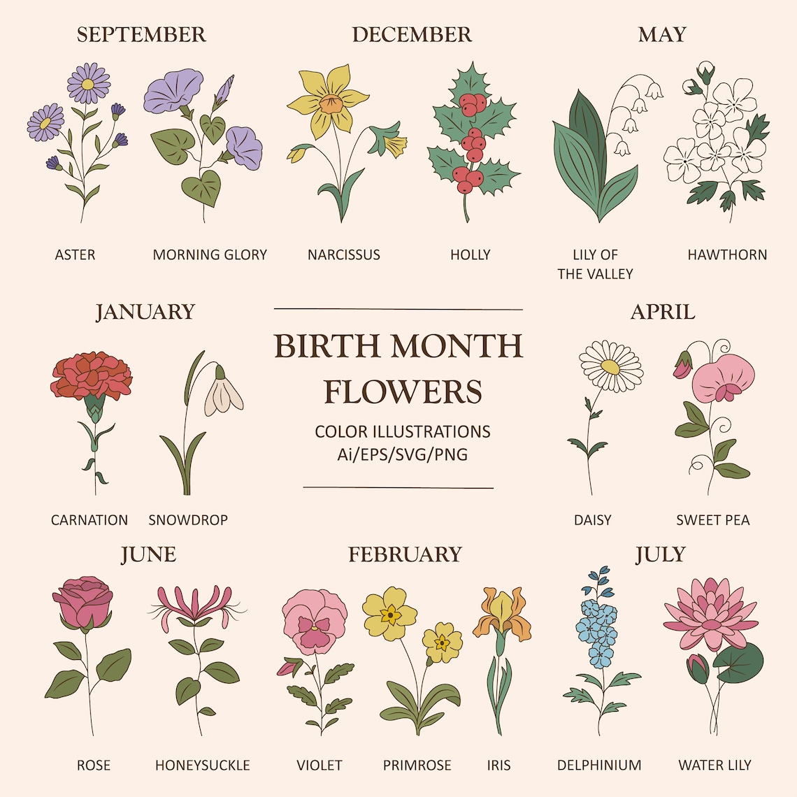 Birth Month Flower Set/birth Month Flowers Png/birthmonth Flower Svg ...