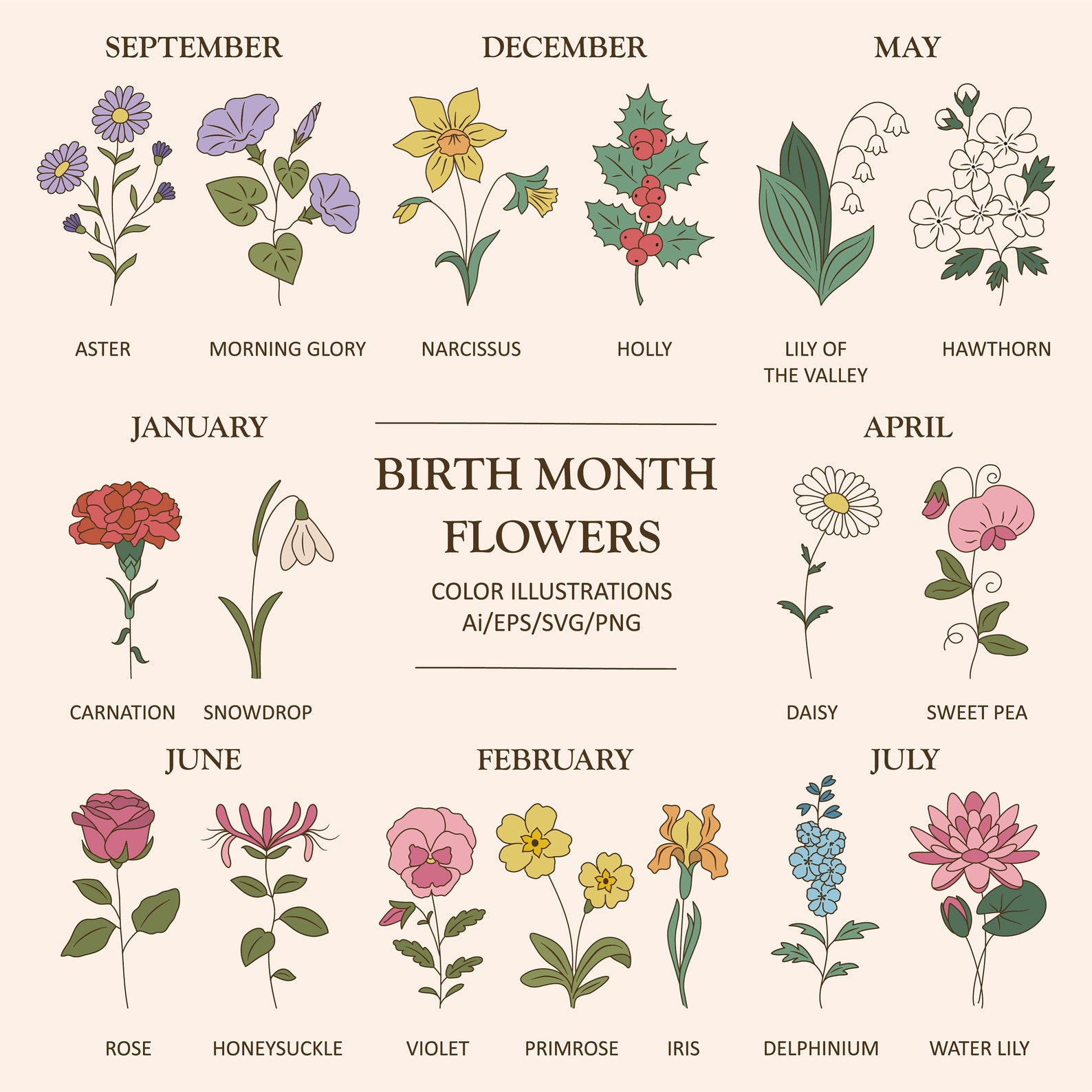 Birth Month Flower Set/birth Month Flowers Png/birthmonth Flower Svg ...