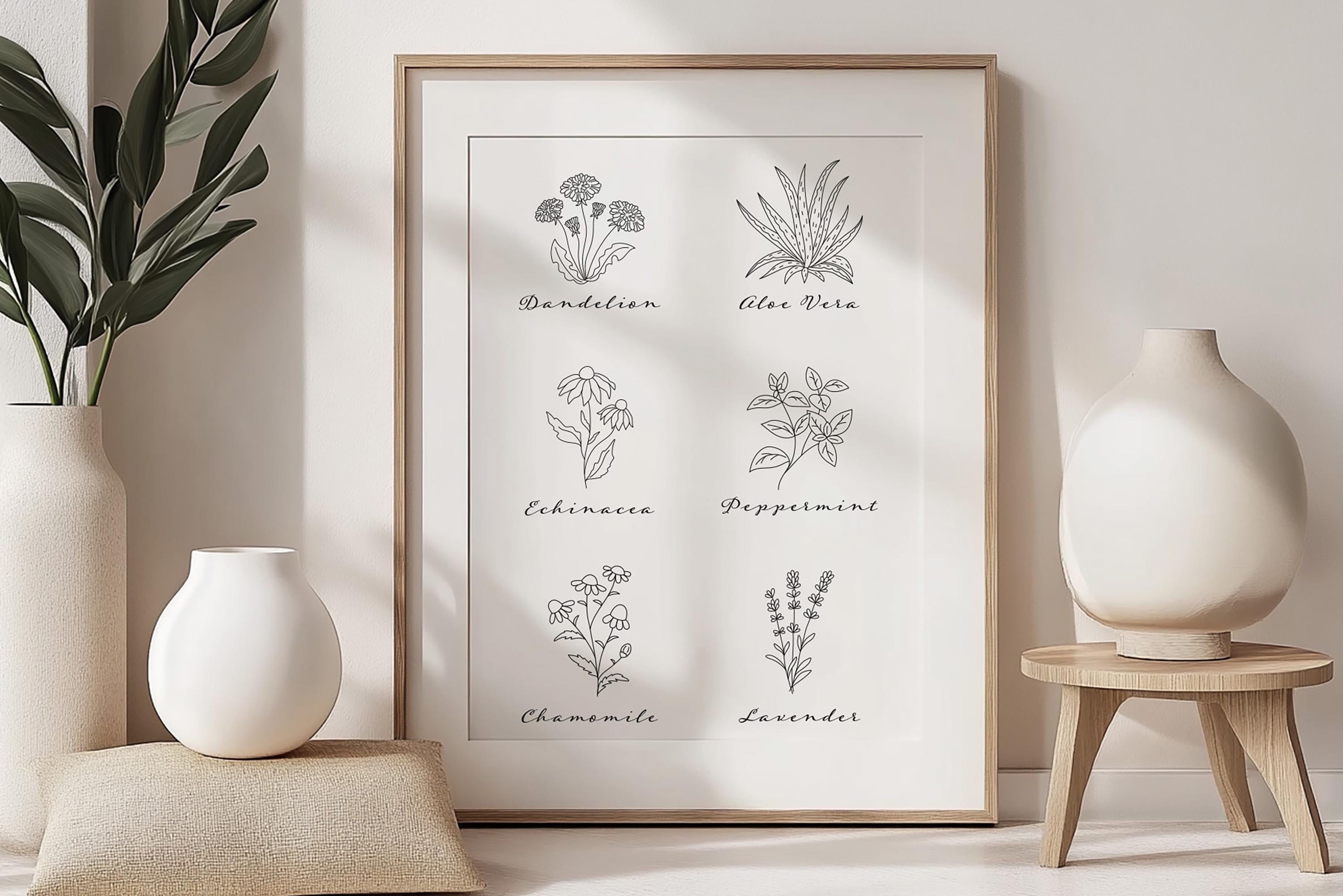 Botanical Apothecary Line Art Icons, Herbal Plants Clipart Set SVG ...