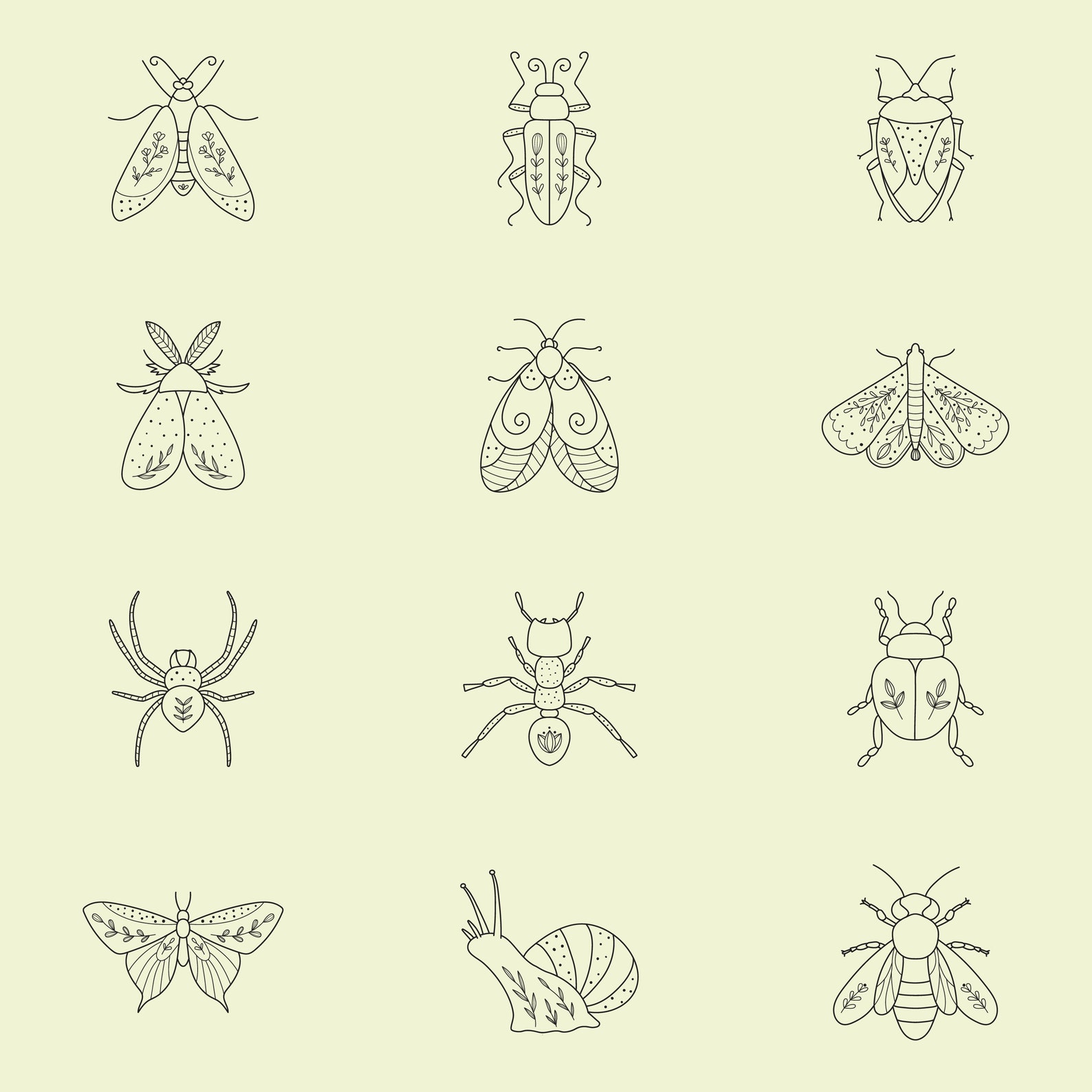 Insect Icon Set/butterfly Icon Svg/moth Line Illustration/spider Icon ...