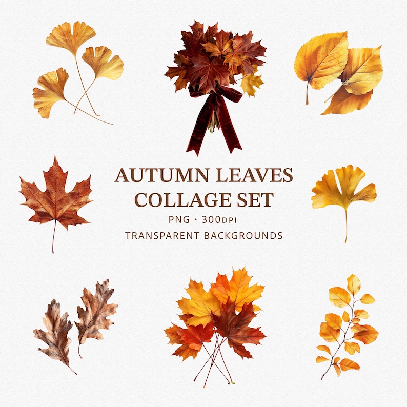 Autumn Leaves Clipart Set | Fall Leaf PNG Bundle | Vintage Collage ...