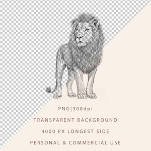 Vintage African Animal Clipart, Safari Wildlife Sketch PNG Bundle ...