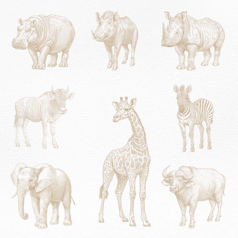 Vintage African Animal Clipart, Safari Wildlife Sketch PNG Bundle ...