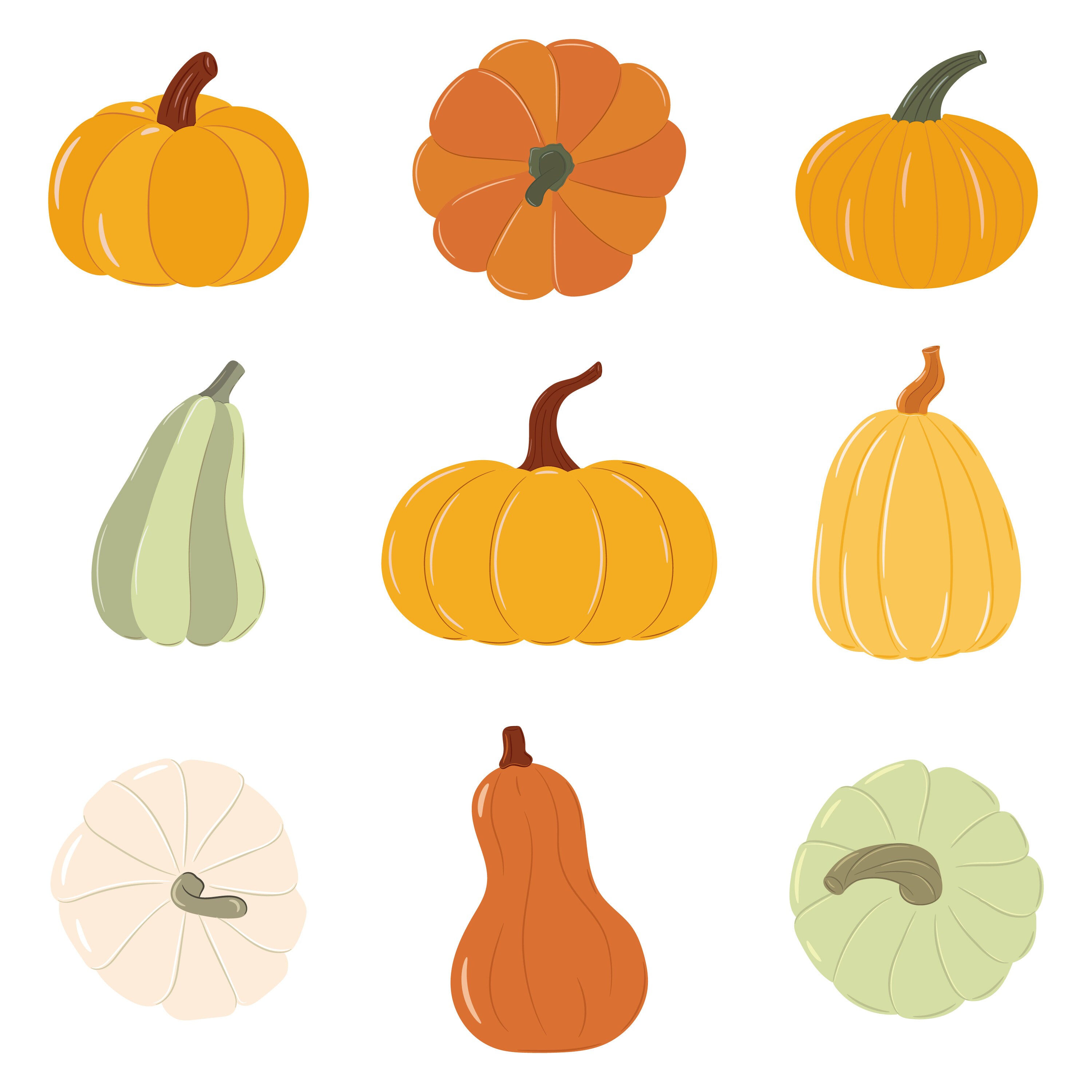 Pumpkin Clipart Svg/fall Illustration Set/autumn Png/harvest Season ...