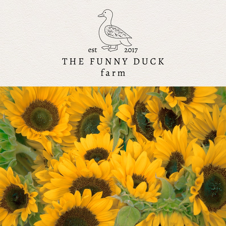 Duck Premade Logo-farm Watermark-farmers Market-farming-line Logo ...