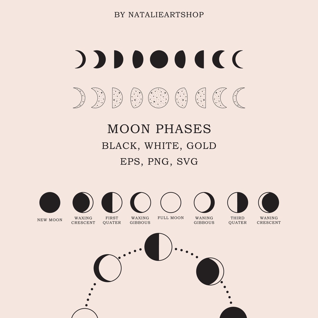 Moon Phases SVG Set/moon Illustrations Png/moon Phase Clipart/moon ...