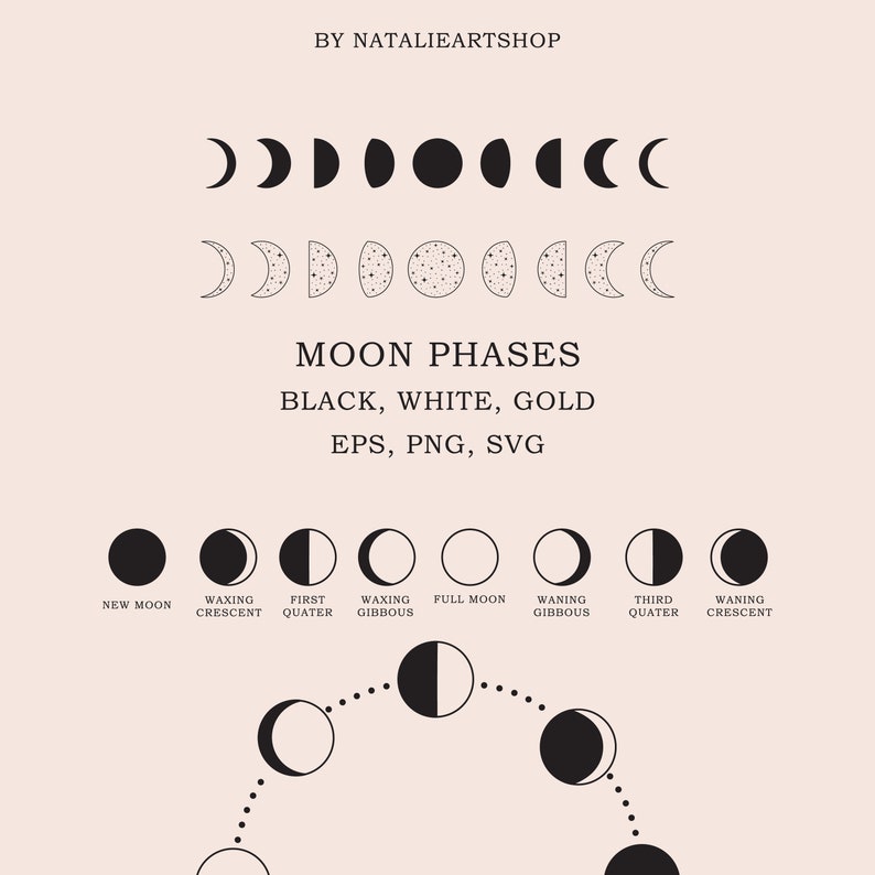 Moon Phases SVG Set/moon Illustrations Png/moon Phase Clipart/moon ...
