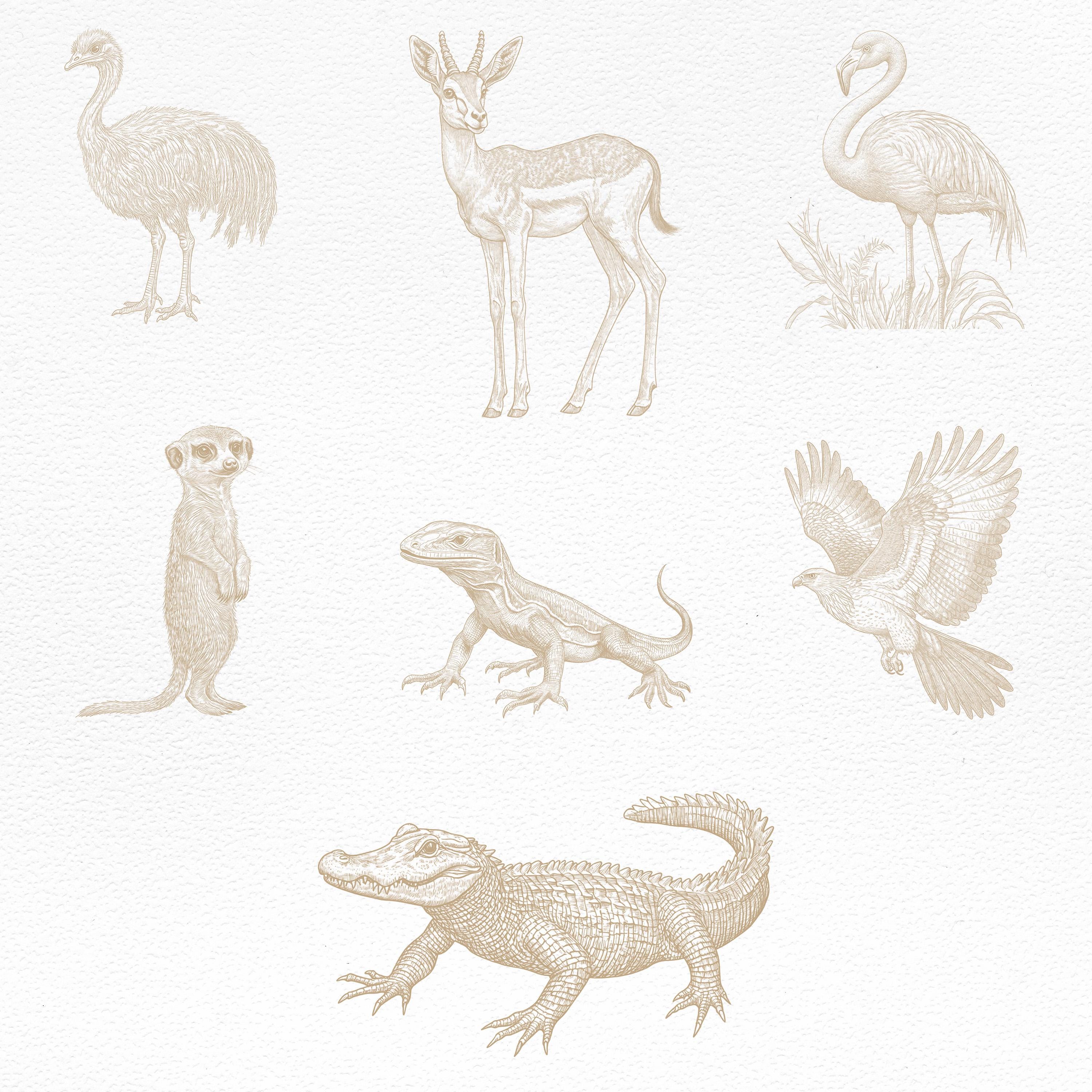 Vintage African Animal Clipart, Safari Wildlife Sketch PNG Bundle ...