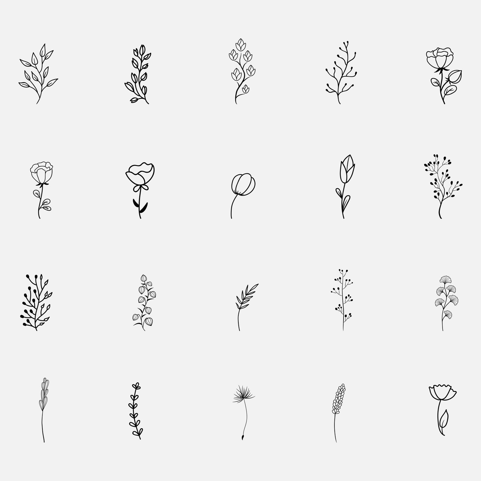 Hand Drawn Flowers Set SVG Flowers Set PNG Floral Ornament Botanical ...