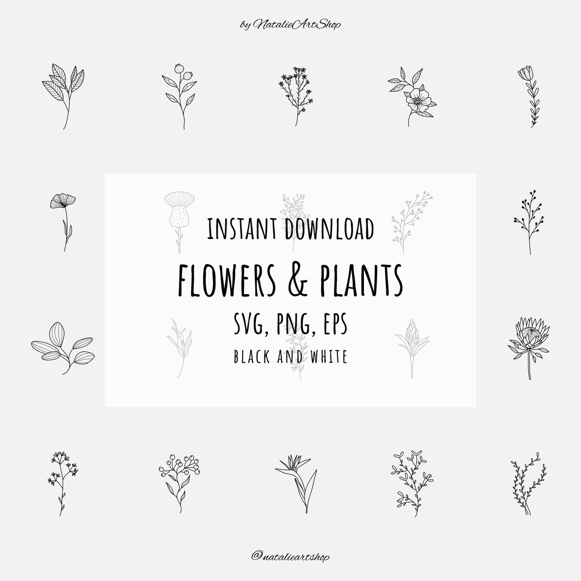 Hand Drawn Flowers Set Png-flowers Vector-floral Ornament - Etsy